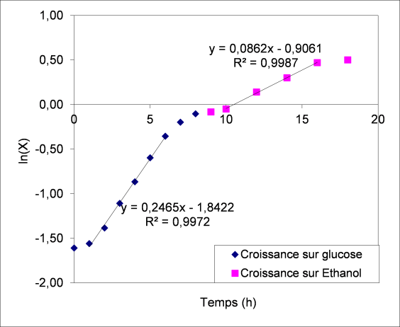 Exercice : Production d'une levure de boulangerie [Conduite des ...